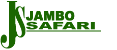 JAMBO SAFARI - Bienvenue